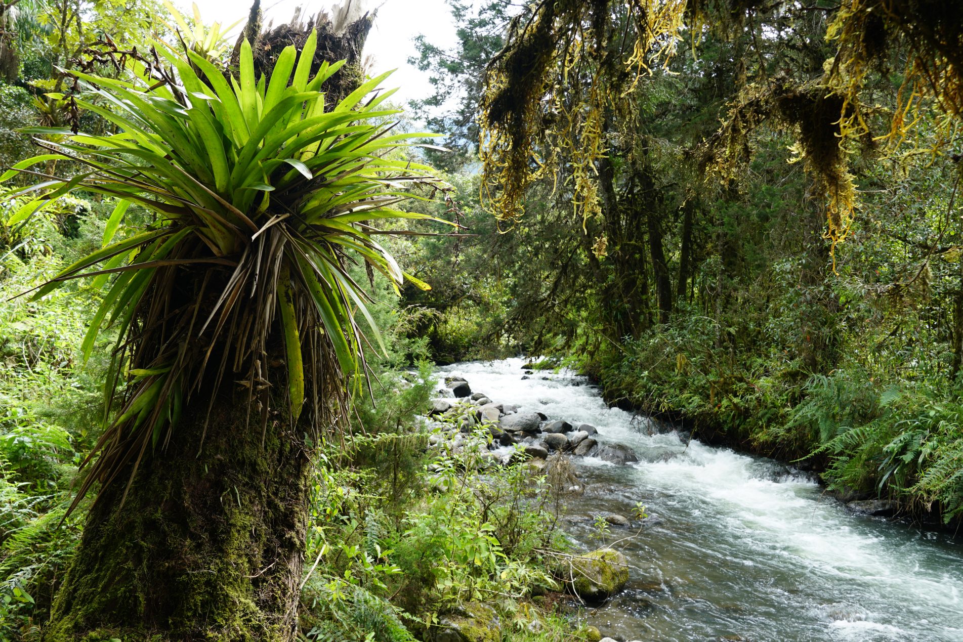 Exploring Colombia on your own | Travel insights | Expedition Colombia
