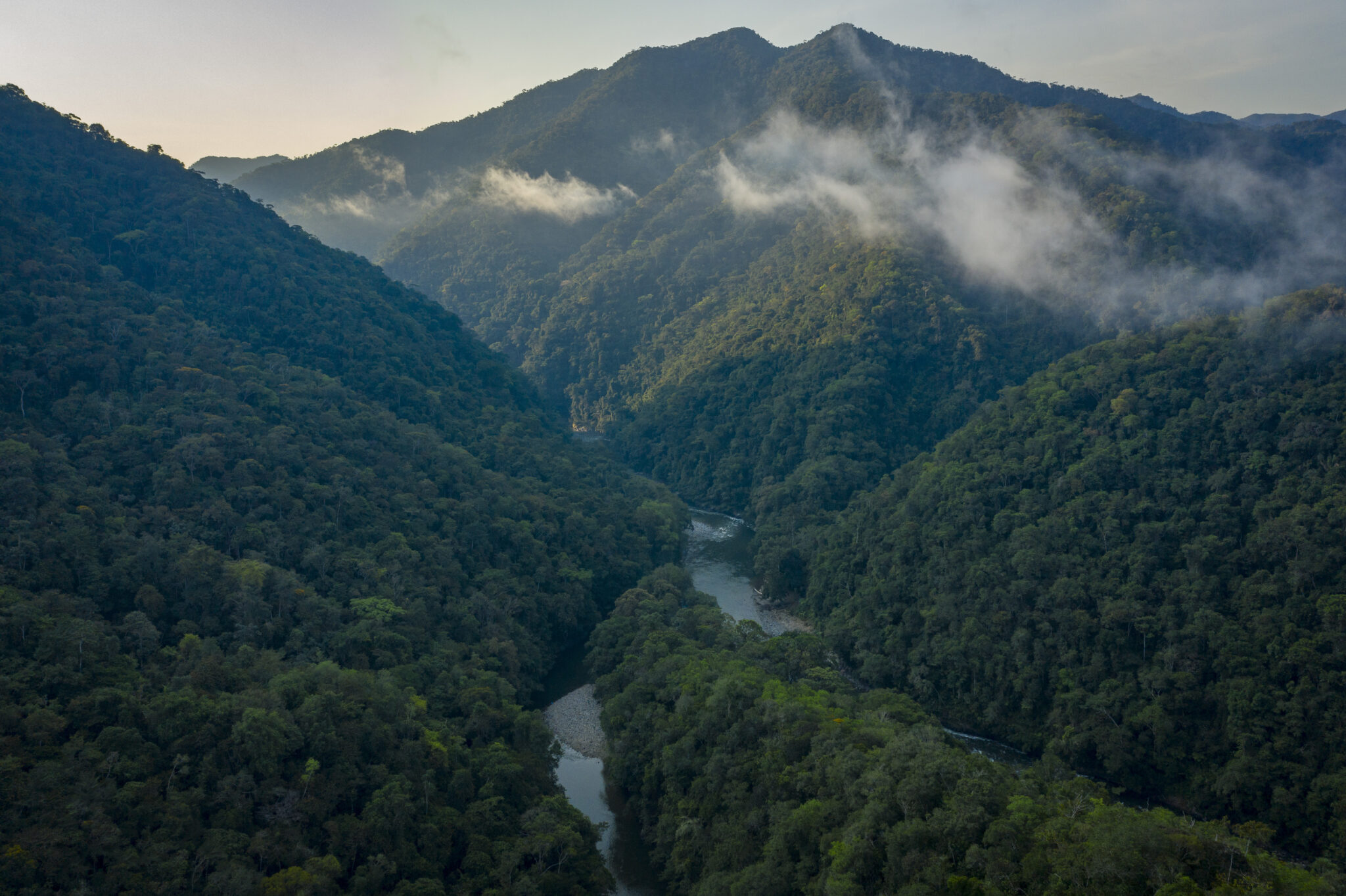 Samaná Fest: An event to protect the Samaná River | Expedition Colombia